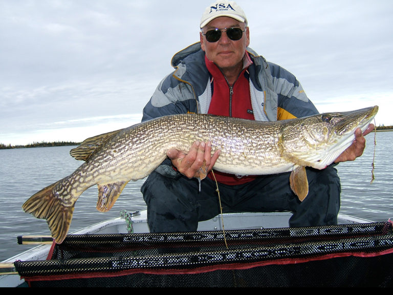 Canada Northern Pike Fishing - Go Fishing Canada